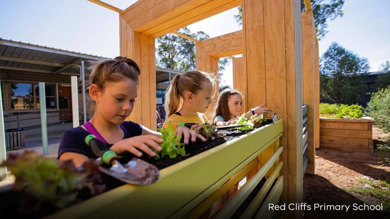 Red Cliffs Primary School | schoolbuildings.vic.gov.au