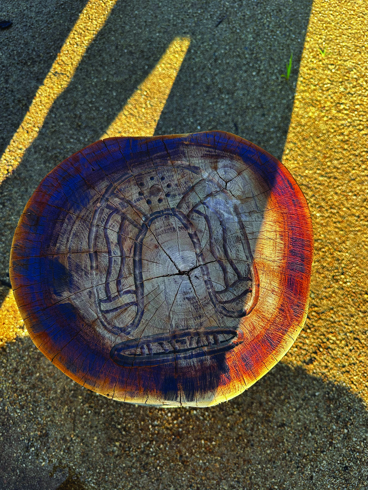 Grovedale West Primary School | schoolbuildings.vic.gov.au